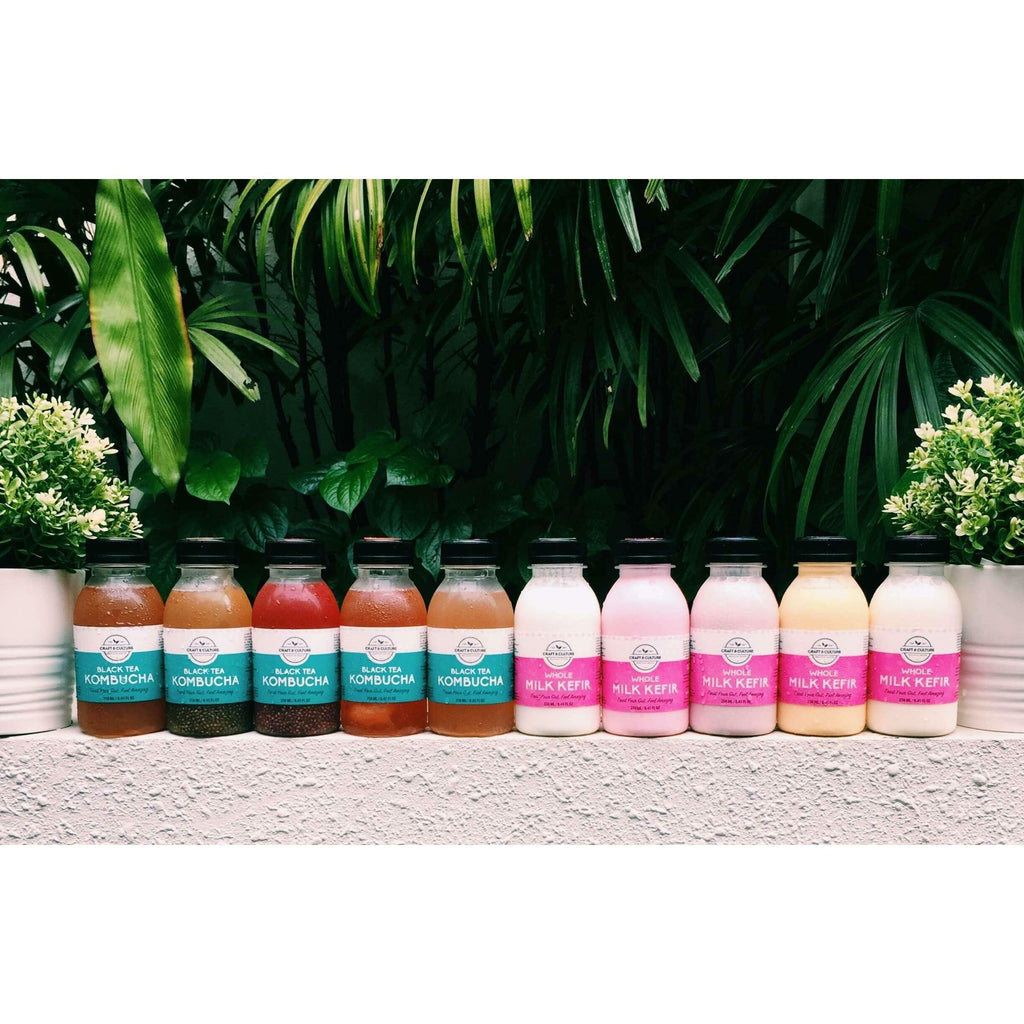 Craft & Culture Singapore Probiotics | [Sampler] Kombucha & Milk Kefir